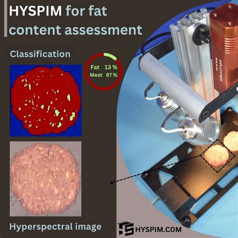 hyspim hyperspectral imager on linkedin 📝 a review on hyperspectral