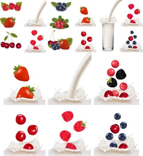 Fresh Fruit Vector Vectors Graphic Art Designs In Editable Ai Eps