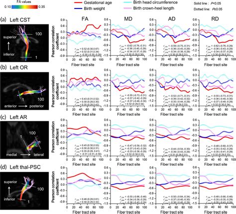 Pearson Partial Correlation Analysis Of Birth Indicators Related To Download Scientific Diagram