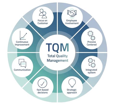 Aya Mohammed Hassan On Linkedin Totalqualitymanagement Excellence
