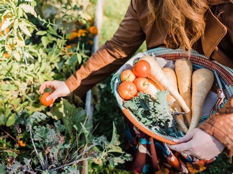 About Parsnips And Pastries