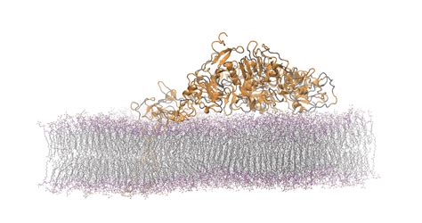 Computational Biology Performance Power And Data Challenges On Hpc Systems