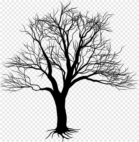 Tree Tree Leaf Branch Png PNGEgg