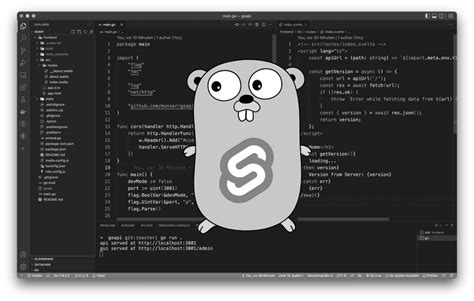 embed sveltekit into a go binary · blog · liip