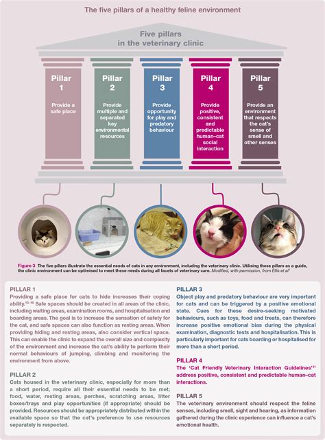 2022 Isfmaafp Cat Friendly Veterinary Environment Guidelines