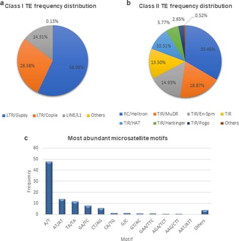Repetitive Dna Characterization Statistics A Pie Chart Display Of The Repetitive Dna Characterization Statistics A Pie Chart Display Of The