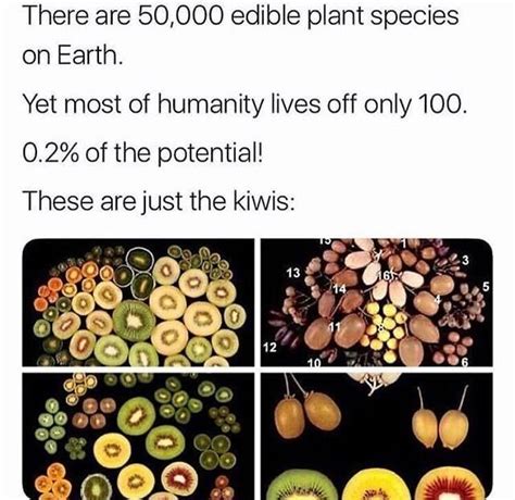 colin o leary on linkedin foodhubs localabundance supportinglocal