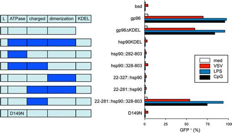 Chaperoning Activity Of Gp96 Is Required For Infection With Download Scientific Diagram