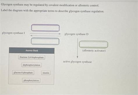 Solved Glycogen Synthase May Be Regulated By Covalent