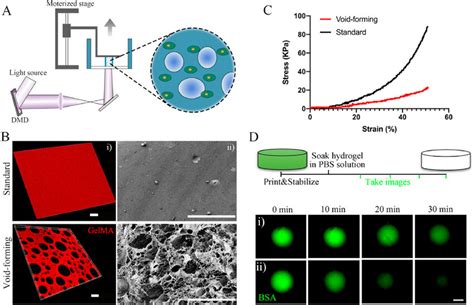 3d Bioprinting Of Void Forming Hydrogels A Schematic Diagram Of The Download Scientific