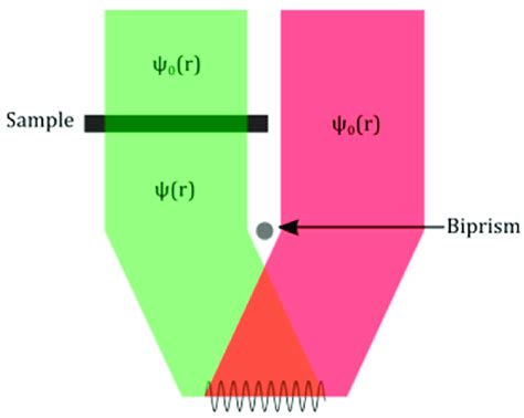 Off Axis Electron Holography Basic Diagram The Electron Wave Resulting Download Scientific