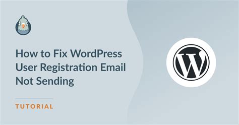 How To Fix Wordpress User Registration Email Not Sending Issue
