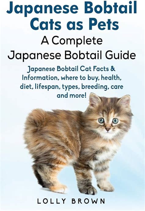 Adopt Rare Japanese Bobtail Cats Cost Identification And Cuddly Traits