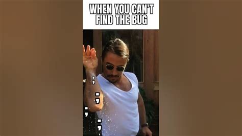Didnt Find The Bug Bug Bugfixing Debugging Codedebugging Coding