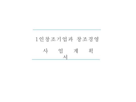 양말전문 브랜드 사업계획서