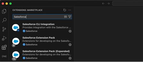 Salesforce Development Vs Code Scratch Orgs And Code Analysis