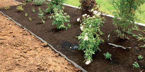 TREE PLANTING SEASON TCS GEOTECHNICS