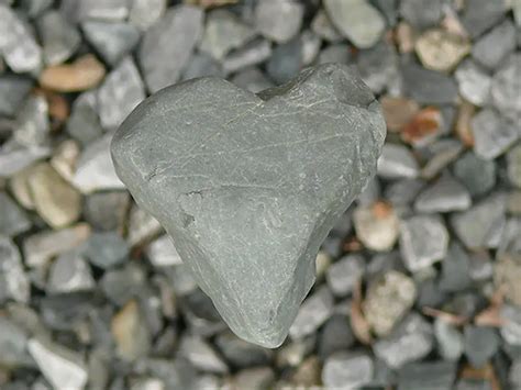 8 Things About Sex You Probably Do Not Know