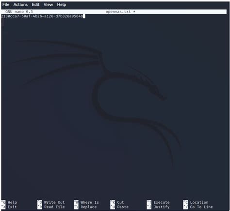 Openvas Nedİr Kalİ Lİnuxda Nasil Kurulur Furkan KilinÇ