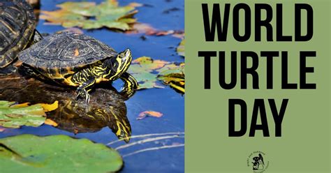 Boght Veterinary Clinic Cohoes Ny