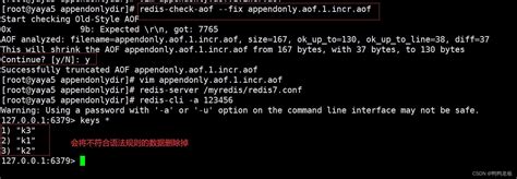 Redis Aofappend Only Fileredis 手动生成aof Csdn博客