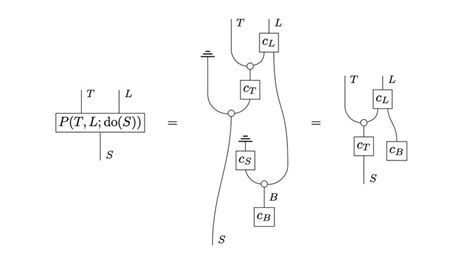 Thomas Ehmer On Linkedin Causal Models In String Diagrams
