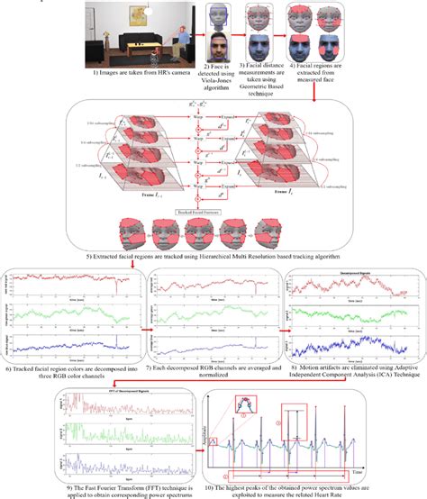 The Proposed Heart Rate Estimation Algorithm Architecture Download