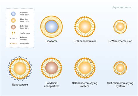 Lipid Based Nanocarriers In Oral Drug Delivery BioRender Science Templates
