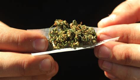 Consumo Temprano De Mariguana Causa Efectos Negativos En Adultez