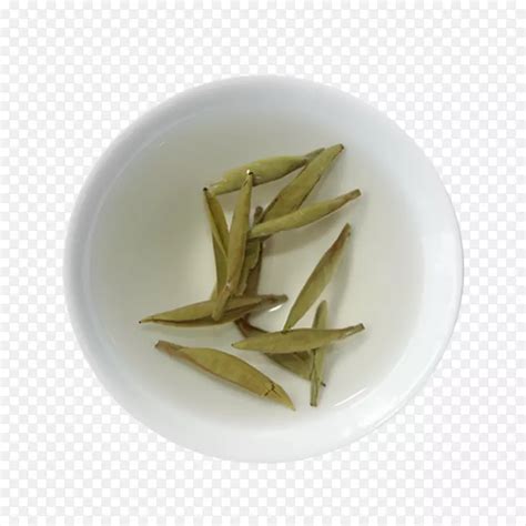 产品实物白毫银针茶水PNG图片素材下载 图片编号qzdokonq 免抠素材网