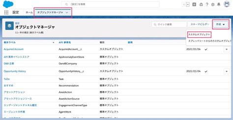 Salesforceのオブジェクトとは基礎知識とカスタムオブジェクトの作成方法株式会社サンブリッジ