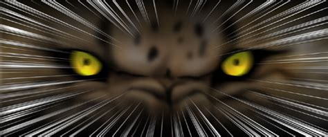 Shingyouji Tatsuya Danbooru