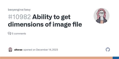 Ability To Get Dimensions Of Image File · Issue 10982 · Bevyengine Bevy · Github