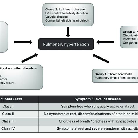 Ph World Health Organization Classification And Functional Class