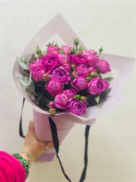 თაიგული Taiguli