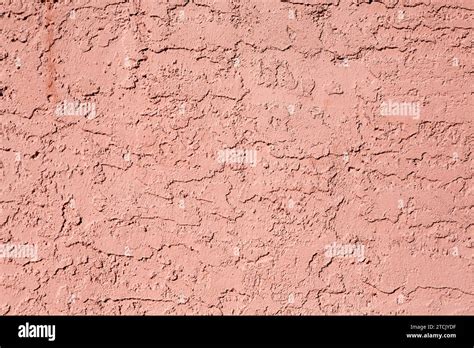 Coral Cement Or Concrete Wall Texture And Background Seamless Stock