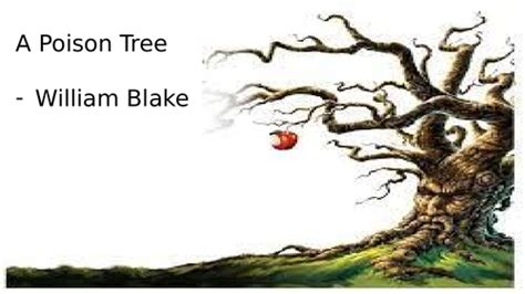 Edexcel Conflict Revision Flashcards Teaching Resources