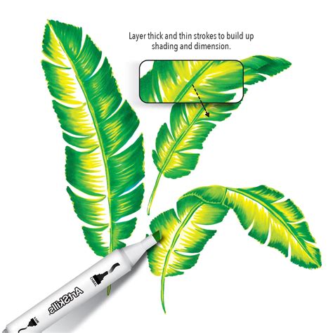 Artists Alcohol Markers Set Blendable Dual Tip Markers Permanent Marker Set For