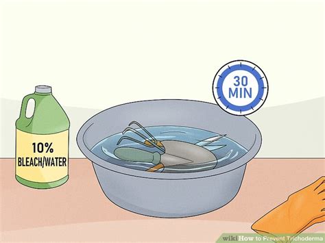 10 Simple Ways To Prevent Trichoderma Wikihow