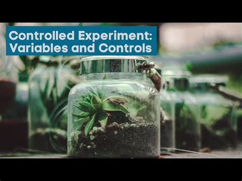 Controlled Experiment