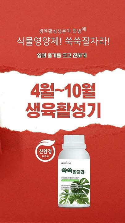 식물영양제 생육활성기 식물영양제는 잔뿌리는 무성하게 잎과줄기는 크고진하게 꽃과열매는 크고 달게 식물영양제 식물영양제추천 생육활성기식물영양제 쑥쑥잘자라 Youtube