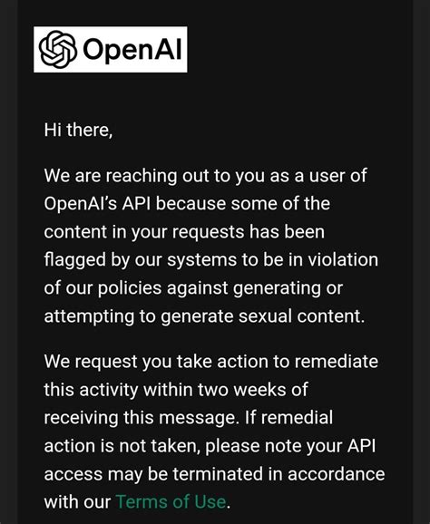 Openai Policy Violation R Janitorai Official