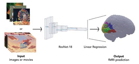 Github Dpmlabimg2fmri A Python Package For Predicting Group Level Fmri Responses To Visual