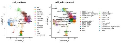 Training The Ensemble Svm Model To Predict Cell Type Directly • Projectsvr