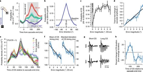 Error Direction Is Encoded In The Probability Of Css Whereas Error Download Scientific Diagram