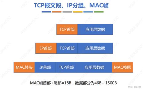 计网—tcp报文段,ip分组,mac帧 Csdn博客 计网—tcp报文段,ip分组,mac帧 Csdn博客