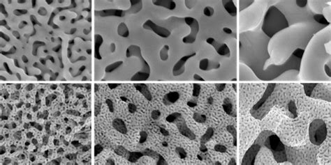 Phys Rev Materials 7 116001 2023 Tailoring Hierarchical