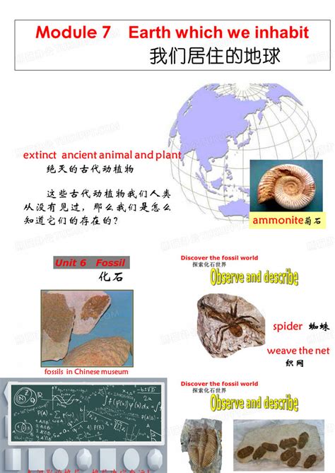 化石PPT模板下载 编号qzpozbyd 熊猫办公