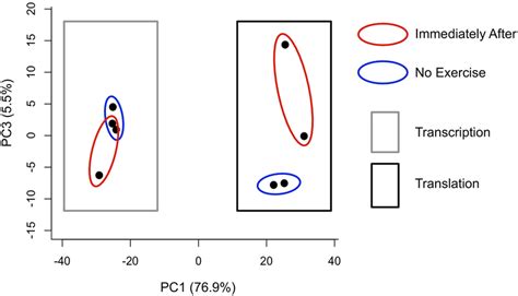Principal Component Analysis Of Mrna Seq And Ribosome Profiling Download Scientific Diagram