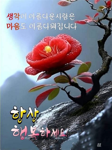 생각이 아름다운 사람은 마음도 아름다워집니다 자연 사진 아침 이미지 좋은 아침 인사